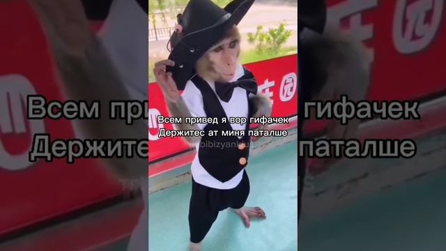 хороший чел