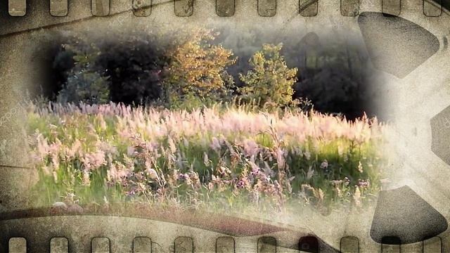 Давай сегодня о хорошем