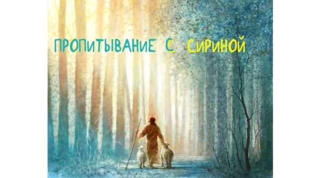 ✅ Пропитывание с Сириной