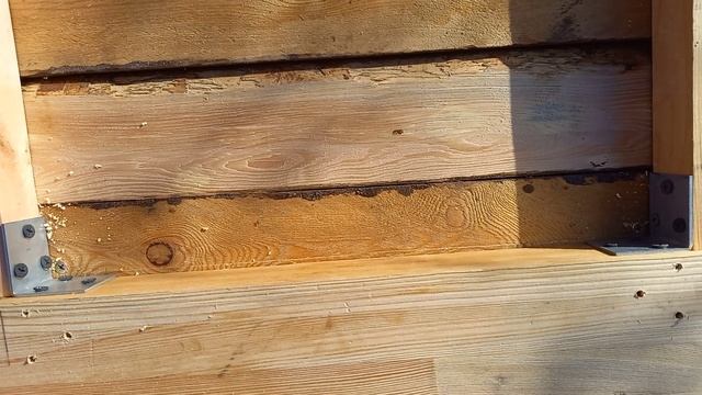 Вожделенный сундучище