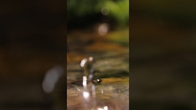 Красивая фоновая музыка для расслабления . Звуки тропического дождя