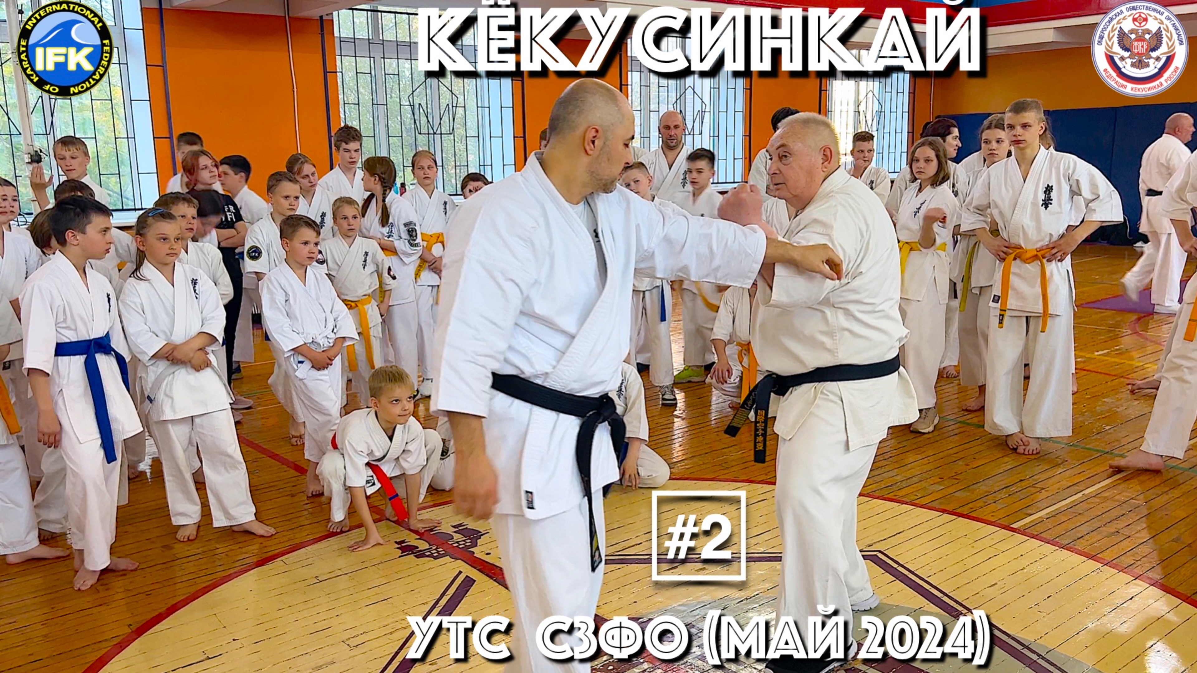 Кёкусинкай / Учебно-тренировочные сборы СЗФО / Сихан Танюшкин / Санкт-Петербург (май 2024) #2