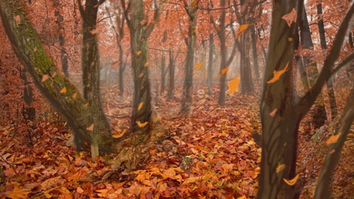 S.T.A.L.K.E.R. 2: Heart of Chornobyl Прохождение #38 Рыжий лес и Домик Доктора