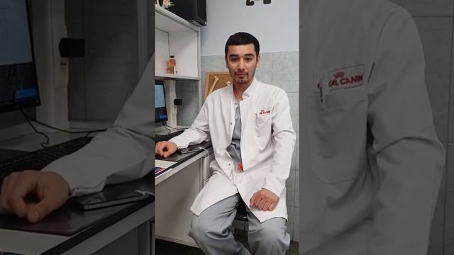 Какая первая помощь при ранах?