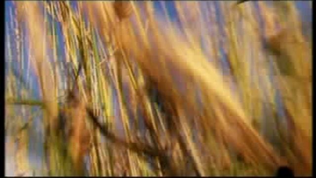 2001 - Веретено. Режиссер Максим Масальцев.