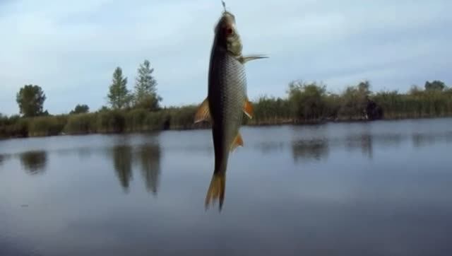 Озеро Глубокое