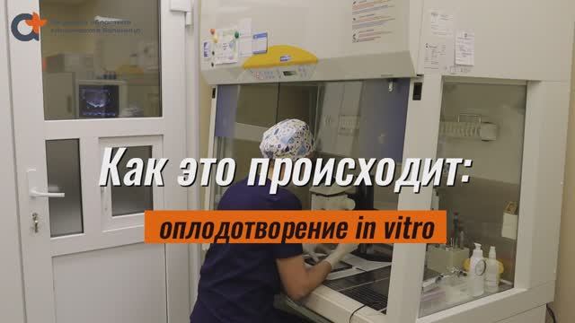 Как это происходит. Оплодотворение in vitro