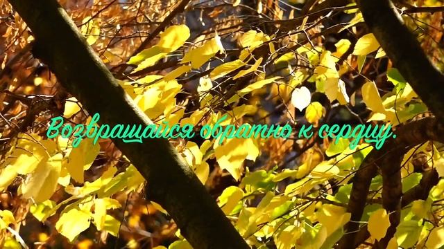 02. Исихия. иером. Симон (Безкровный)