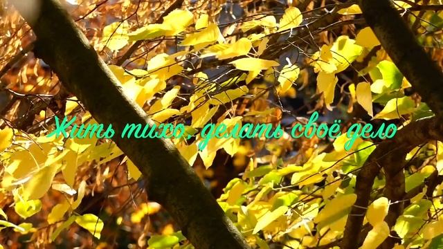 12. Исихия. иером. Симон (Безкровный)