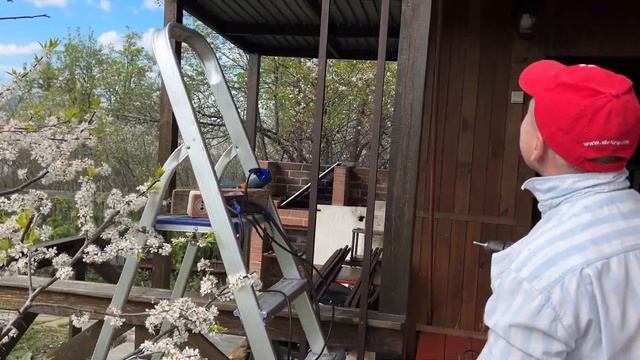 Делаем шпалеры "из ничего". Как изготовить шпалеры, не покупая брусок