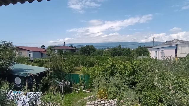 Гумиста. Абхазия. День добрый. Минутка позитива.