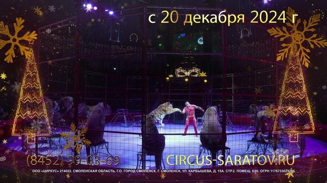 Невероятное цирковое шоу «Маска или приключения ёлочных игрушек»!  В Саратовском цирке!