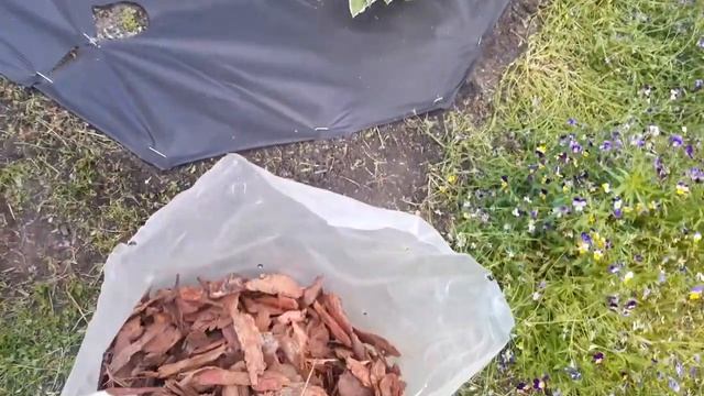 Не будет сорняков! Сделай как я! Сама без мужа сделала за 1 час красивый цветник без сорняков