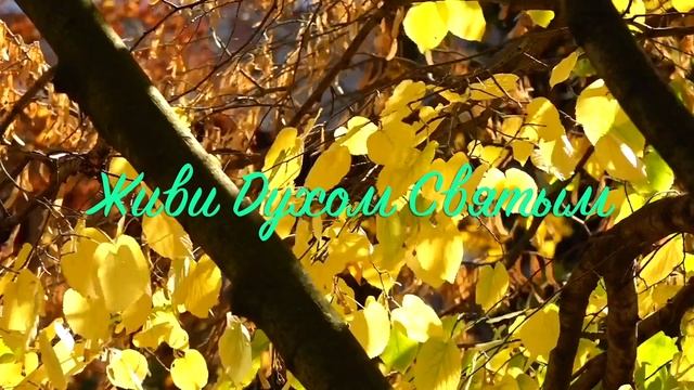 07. Исихия. иером. Симон (Безкровный)