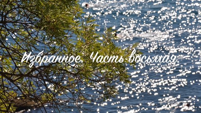 08. Избранное.