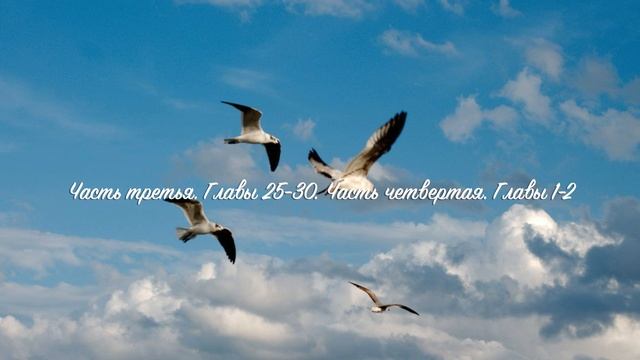 14. Птицы Небесные. Симеон Афонский.