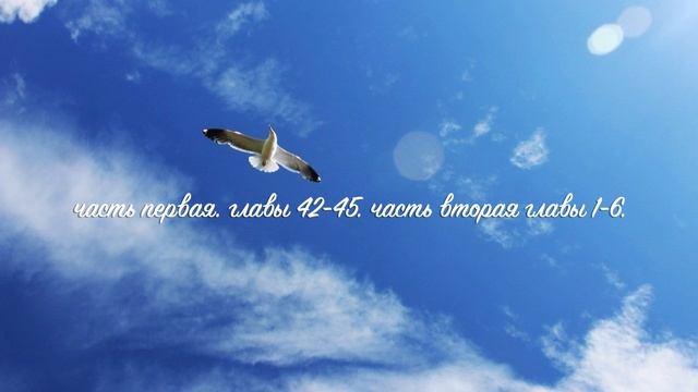 06. Птицы Небесные. Симеон Афонский.