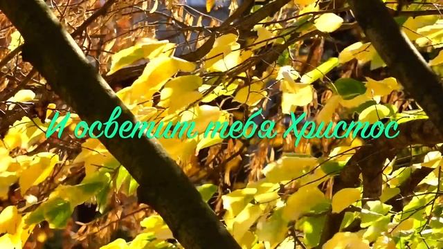 15. Исихия. иером. Симон (Безкровный)