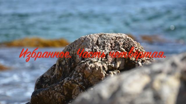 04 Избранное.