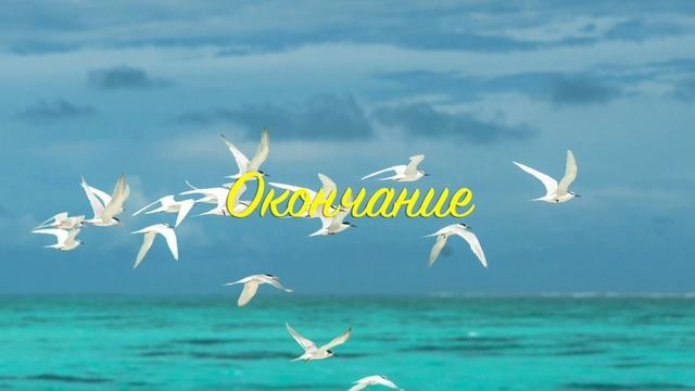 18. Птицы Небесые. Симеон Афонский