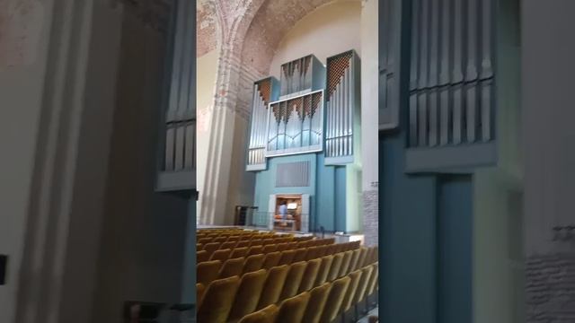 Абхазия. Пицунда орган