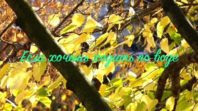 14. Исихия. иером. Симон (Безкровный)