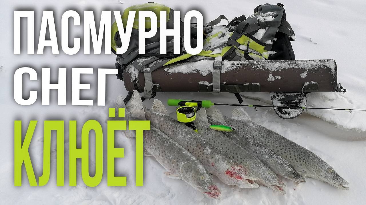 Отличная рыбалка по щуке на Амуре