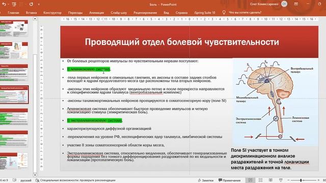 Боль, физиология