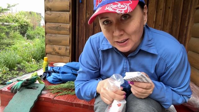 День обрезки на даче. Обрезала все!