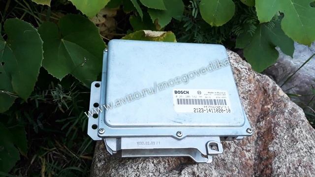 эБУ Мозги ВАЗ Нива и Шеви-Нива Bosch MP 7.0 2123-1411020-10. Чем заменить? Как стереть иммобилайзер?