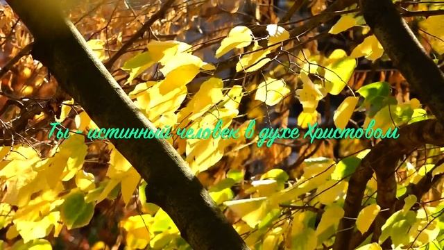 06. Исихая. иером. Симон (Безкровный)