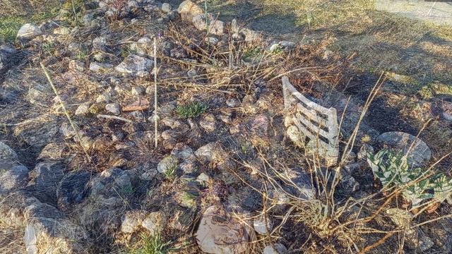 #1 Первый приезд на дачу. 8 сезон