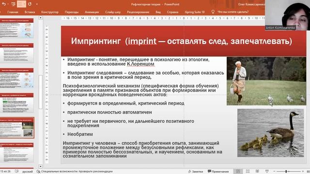 Рефлекторные теории И.П. Павлова, П.К. Анохина. Темперамент, типы ВНД