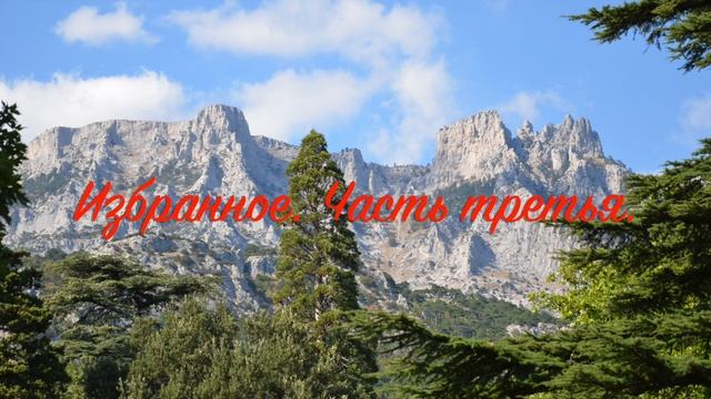 03 Избранное