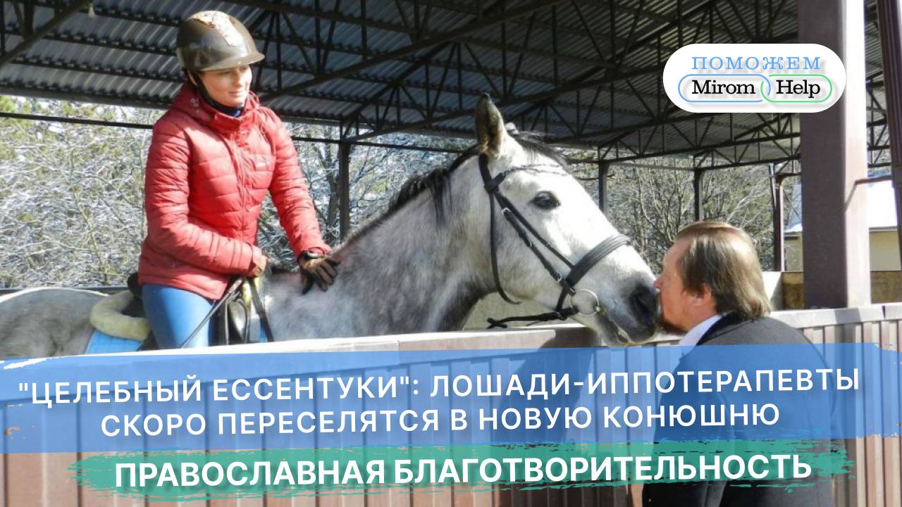 Целебный Ессентуки: лошади-иппотерапевты скоро переселятся в новую конюшню