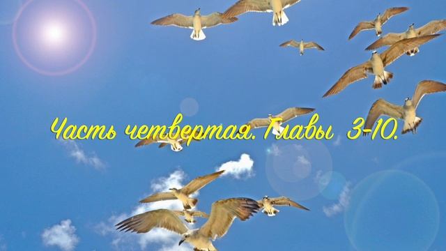 15. Птицы Небесные. Симеон Афонский