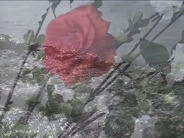 Новый Год Наступает