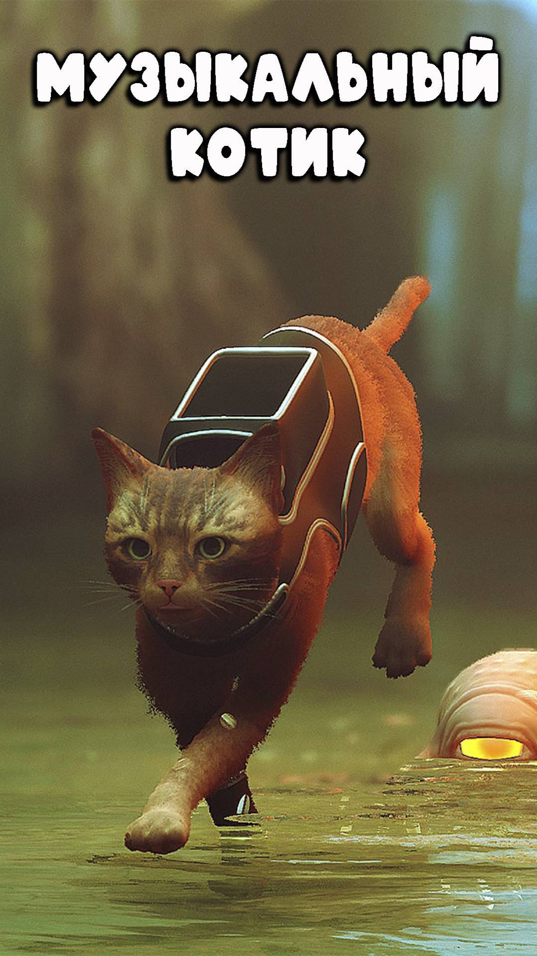 МУЗЫКАЛЬНЫЙ КОТИК в STRAY