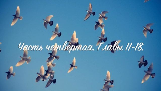 16. Птицы Небесные. Симеон Афонский.