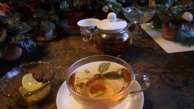 Вечернее чаепитие. Новый чайничек. Рената Смирнова. Рига