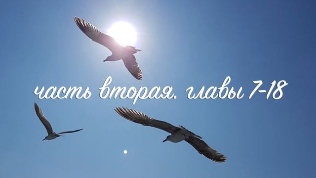 07. Птицы Небесные. Симеон Афонский.