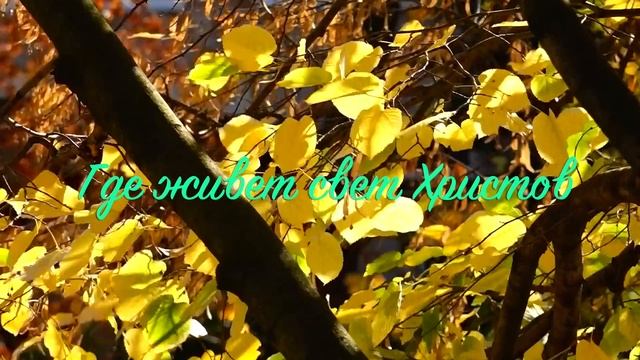 11. Исихия. иером. Симон (Безкровный)