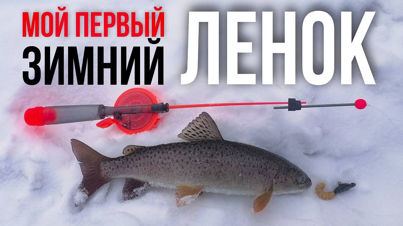 Первый зимний ленок | Таежная река Манома