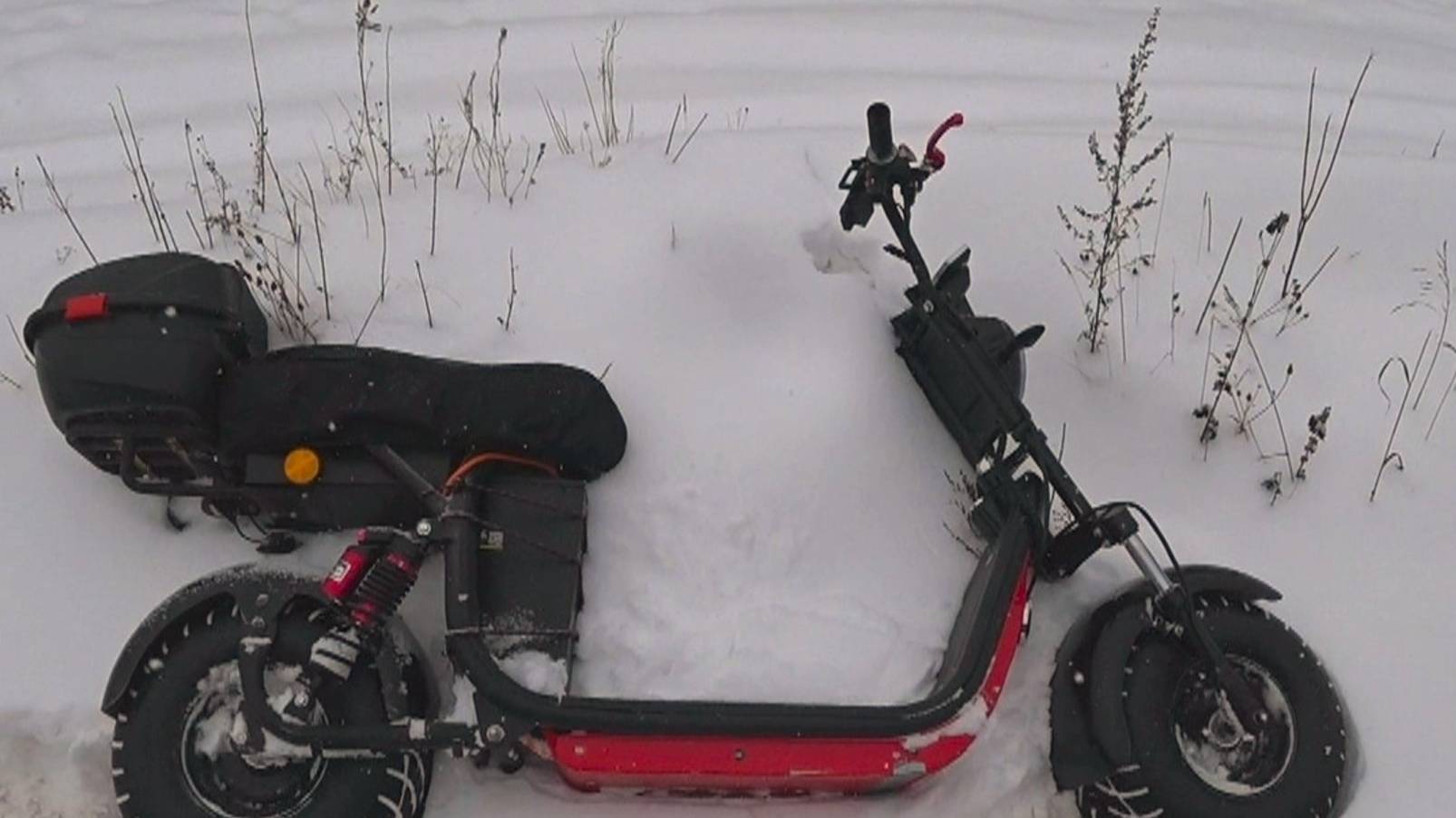 Let it Snow Citycoco 2WD