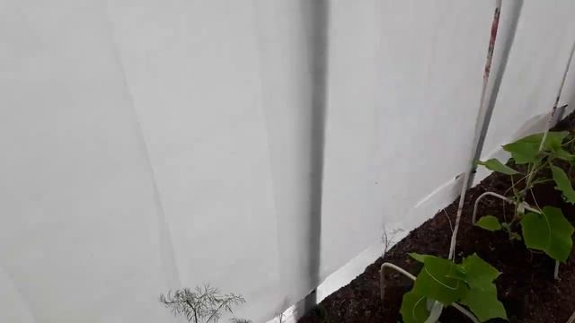 Еду на дачу вдвоём, но не с мужем. Мой день на даче без мужа. Чем занималась и моя новинка