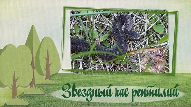 Путешествие в природу родного края