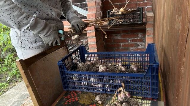 Муж меня ненавидит! Наш день на даче. Похолодало на Урале