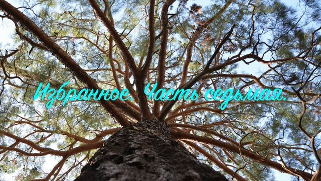 07. Избранное.