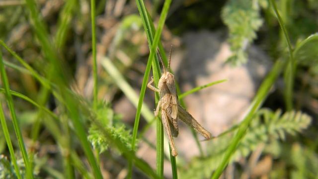 Научи меня молиться, когда в сердце пустота