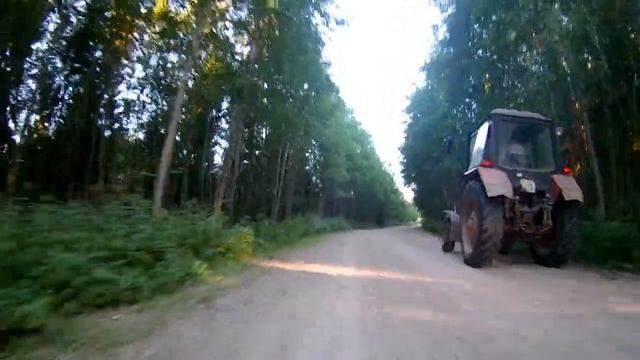 Лыково-Ионино-Шогда-Тереховая